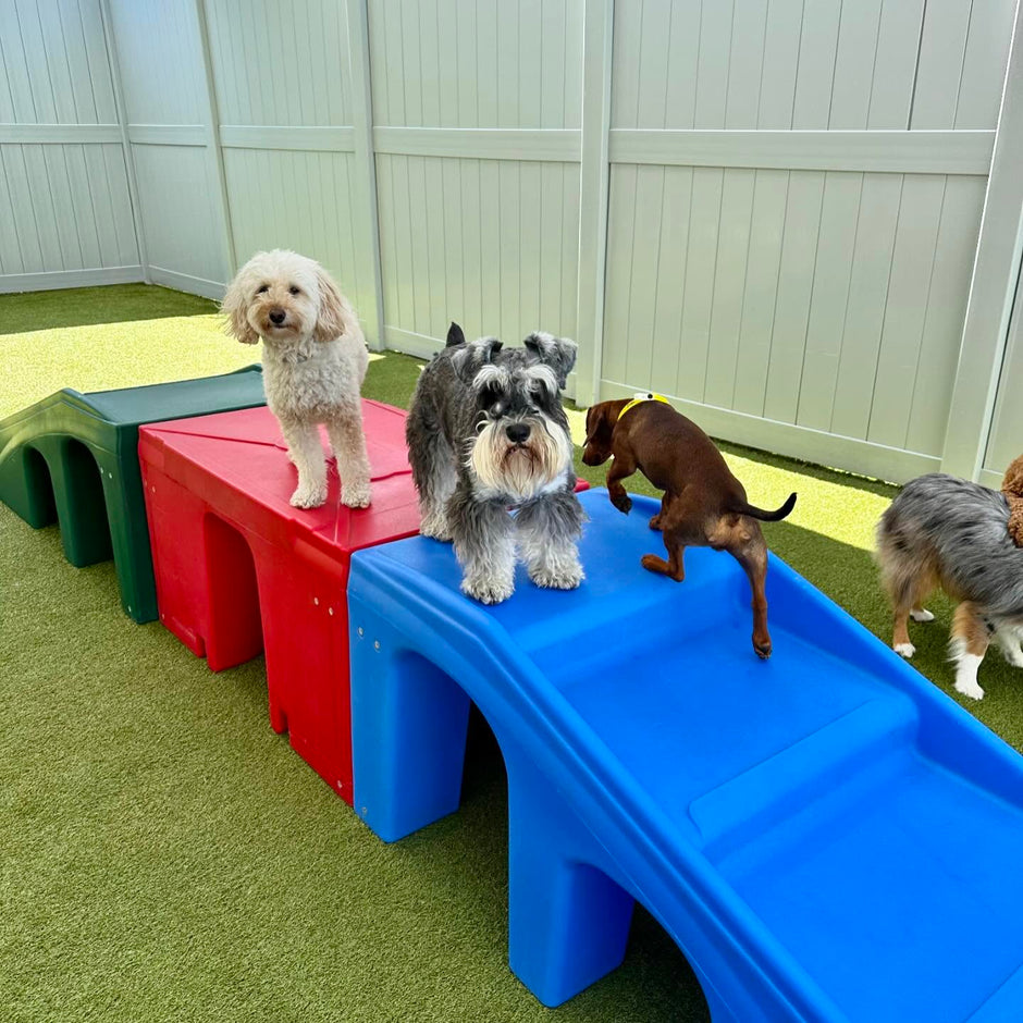 Original Dog Playground Equipment | 12,000+ Facilities Worldwide